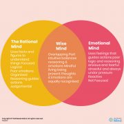 What is a Wise Mind and How to Find Yours? | ThePleasantMind