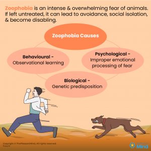 Zoophobia (Fear of Animals) - Definition, Symptoms, Causes, and Treatment