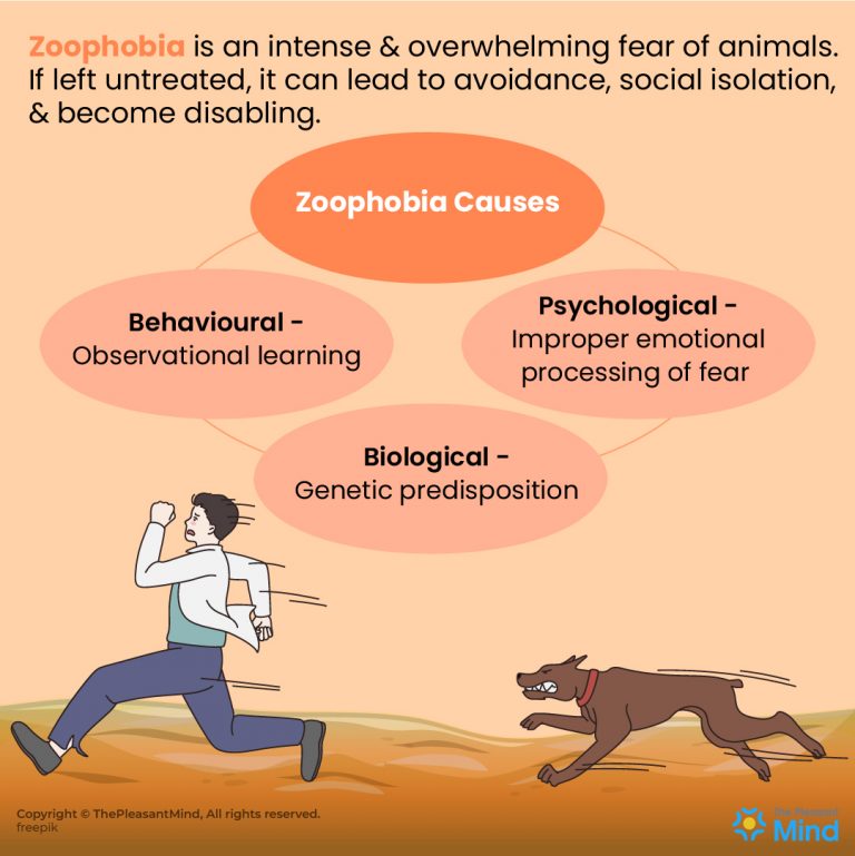 Zoophobia (Fear of Animals) - Definition, Symptoms, Causes, and Treatment